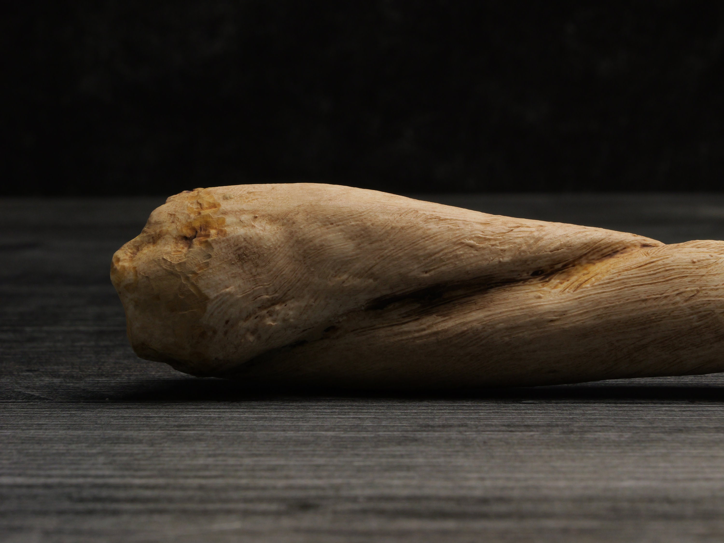 Unicorn Horn Cast Resin Bone Replica 10" - Etsy