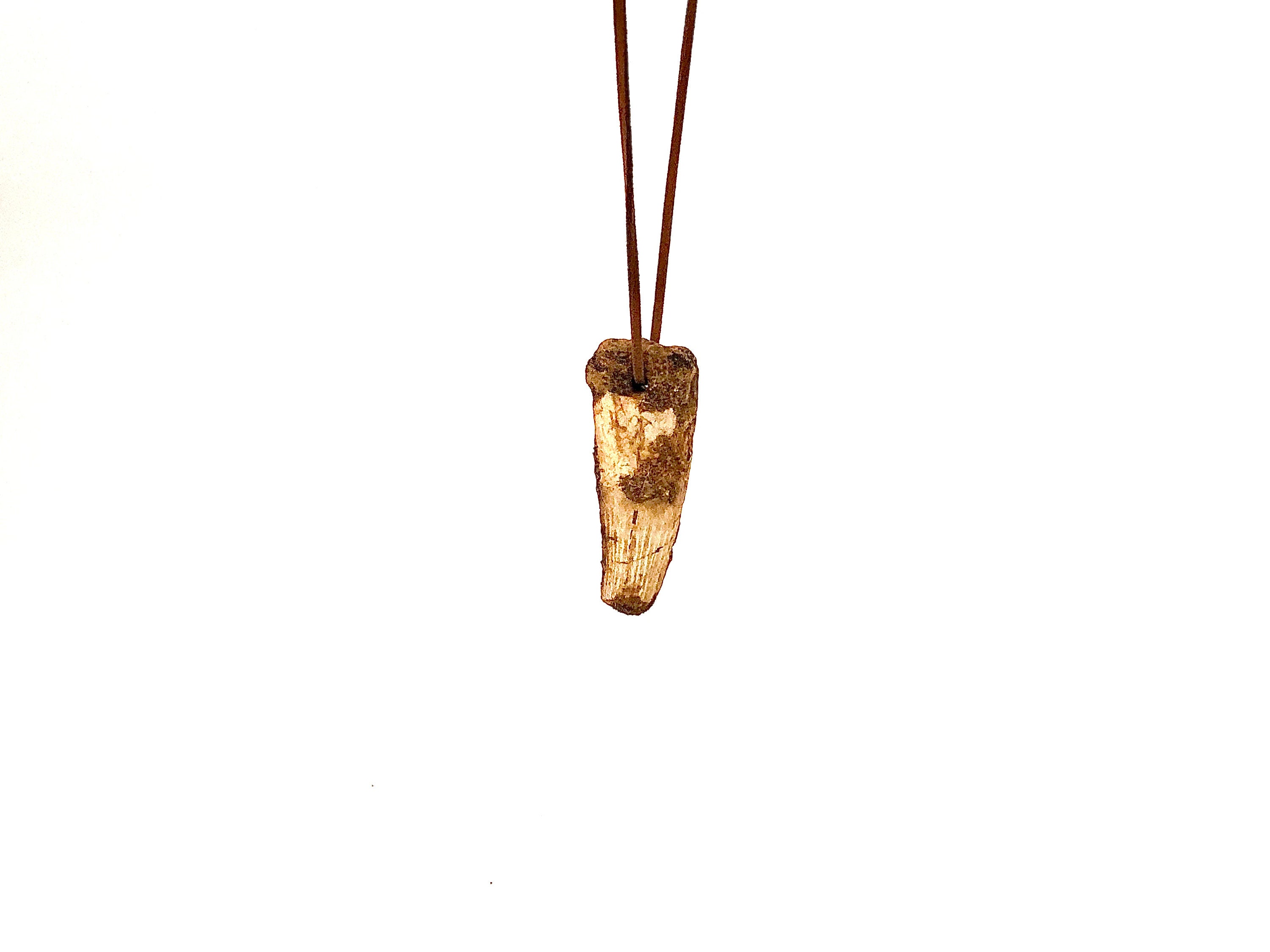 Black Dragon Tooth Necklace Cast Resin Fossil Replica 2.9 - Etsy