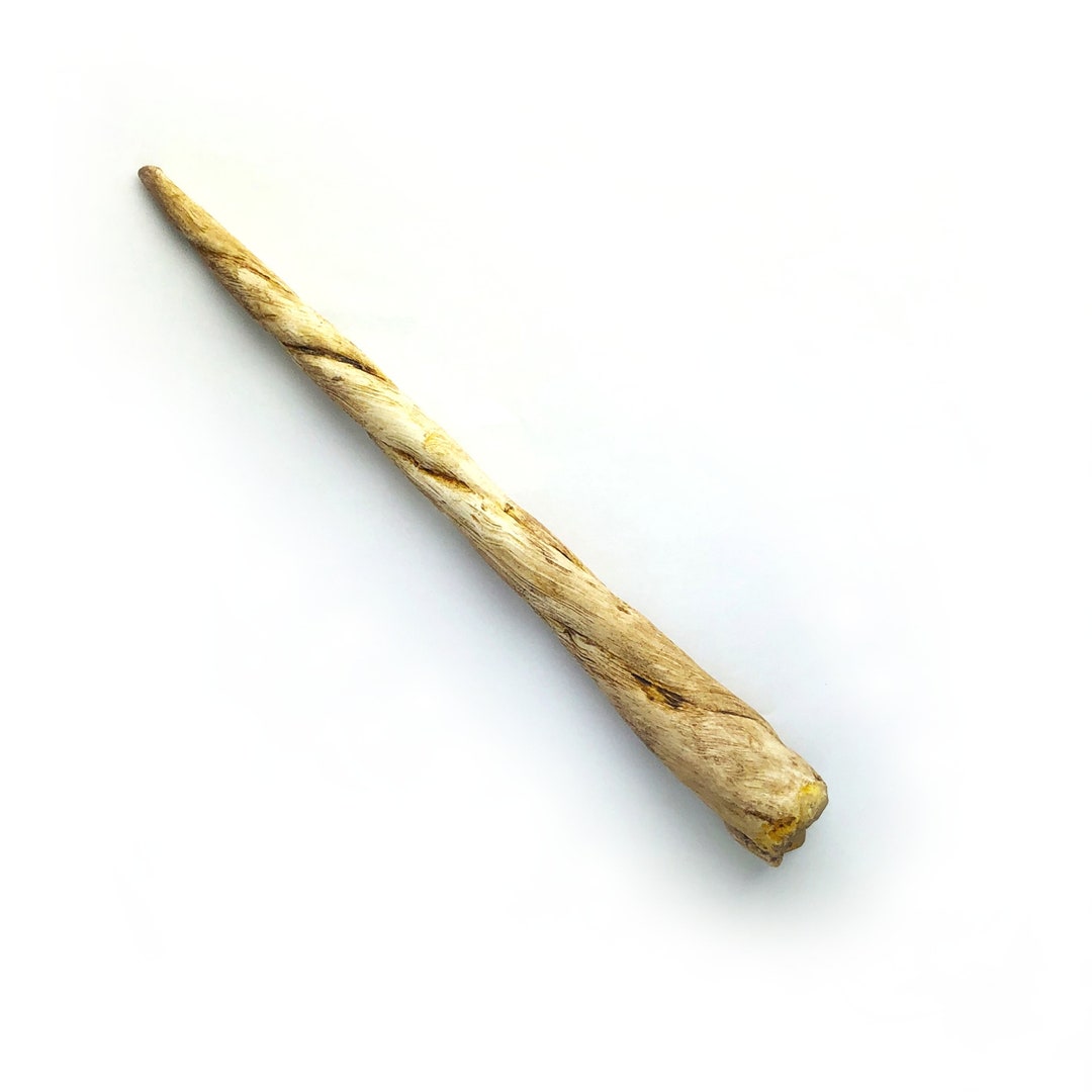 Unicorn Horn Cast Resin Bone Replica 10" - Etsy