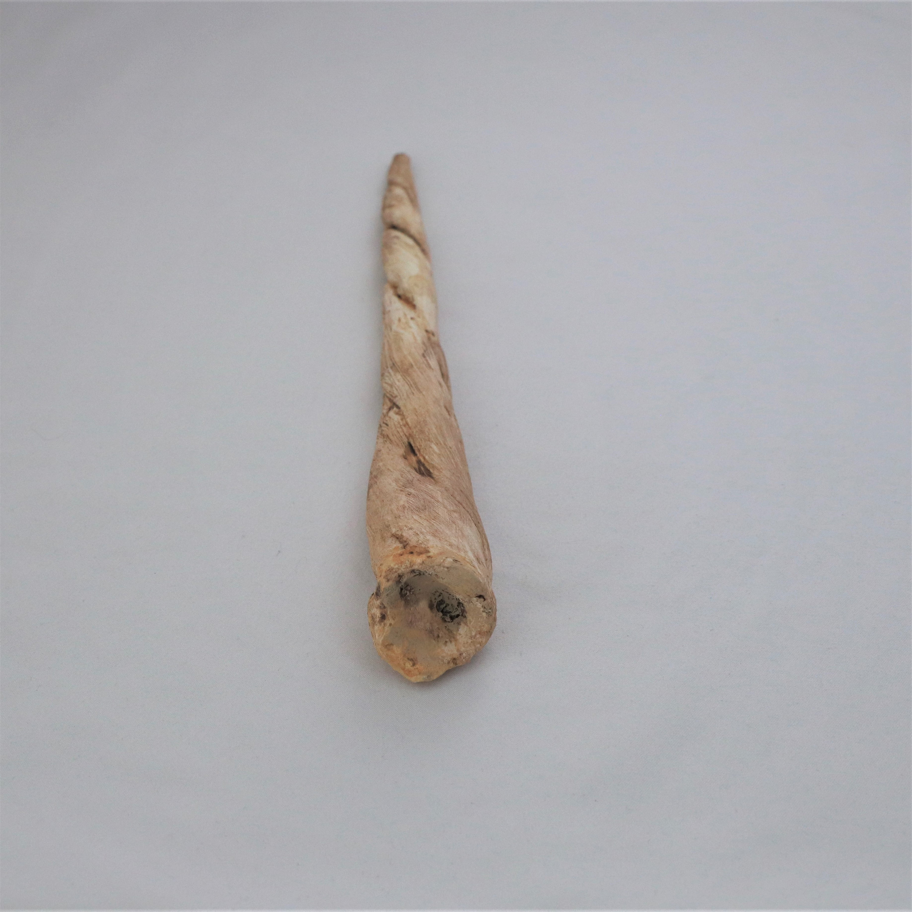 Unicorn Horn Cast Resin Bone Replica 10 - Etsy
