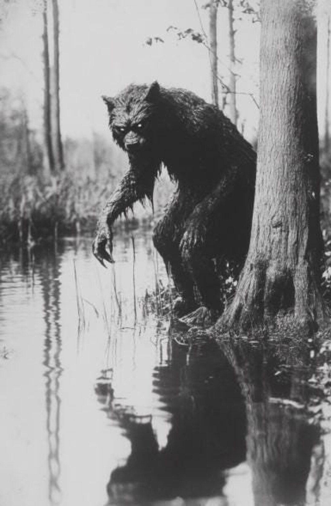 The Rougarou, Cryptid, Louisiana Folklore, Cajun Folklore, Cajun ...