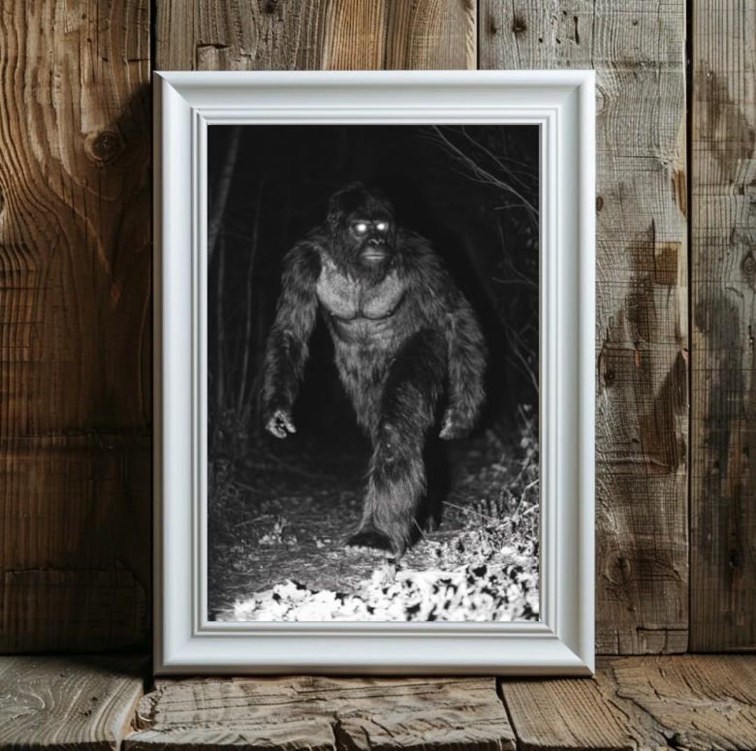Night Vision Sasquatch Photo: Forest Bigfoot Trail Cam Art (digital ...