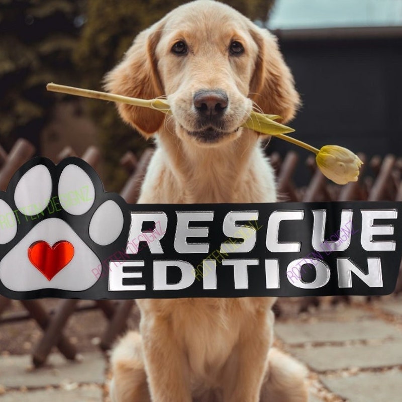 Rescue - Etsy