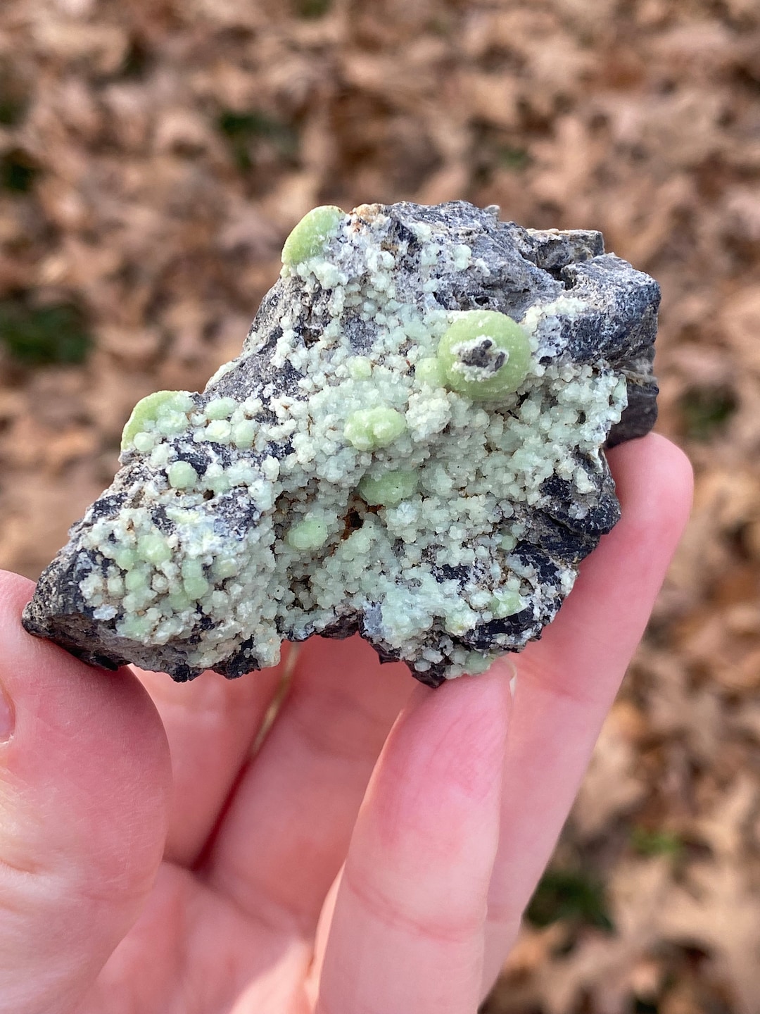 Rare Arkansas Wavellite on Chert Matrix/ Small Mineral Specimen - Etsy