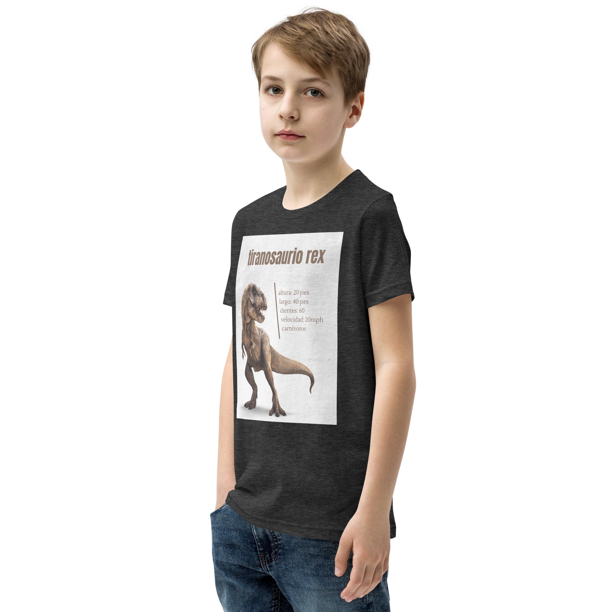 Tiranosaurio Rex, T Rex Shirt, Dinosaur Shirt, Cool Kids Shirt, Gift ...