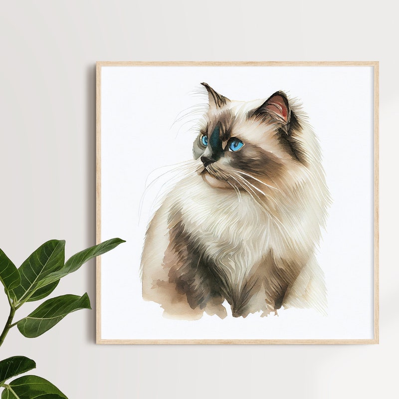 Ragdoll Cat Painting - Etsy
