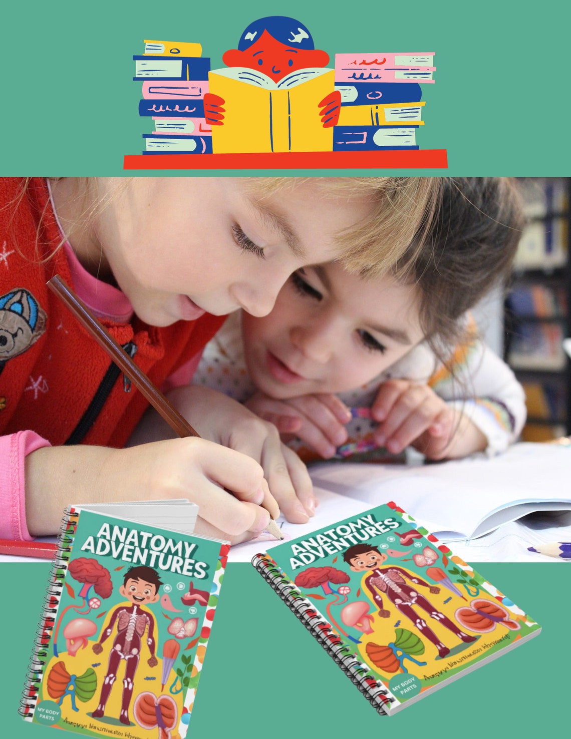 Human Anatomy Busy Book, Preschool Worksheets, Homeschool Resources - Etsy