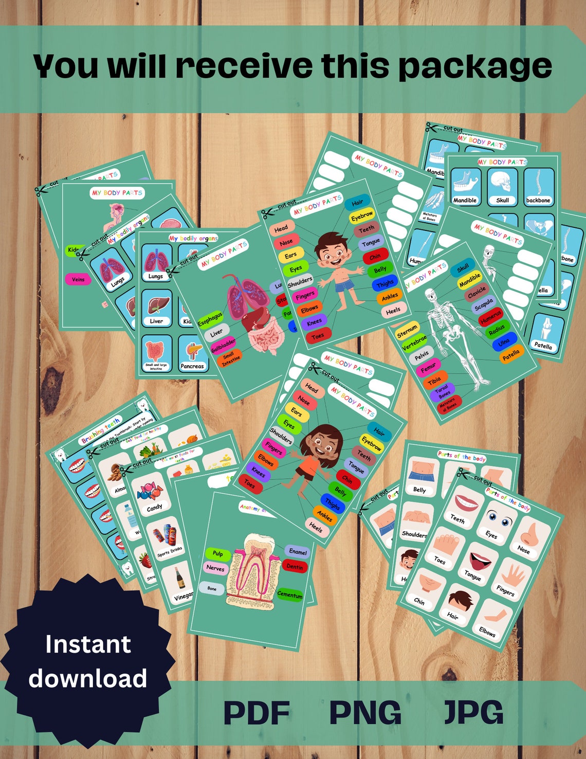 Human Anatomy Busy Book, Preschool Worksheets, Homeschool Resources - Etsy