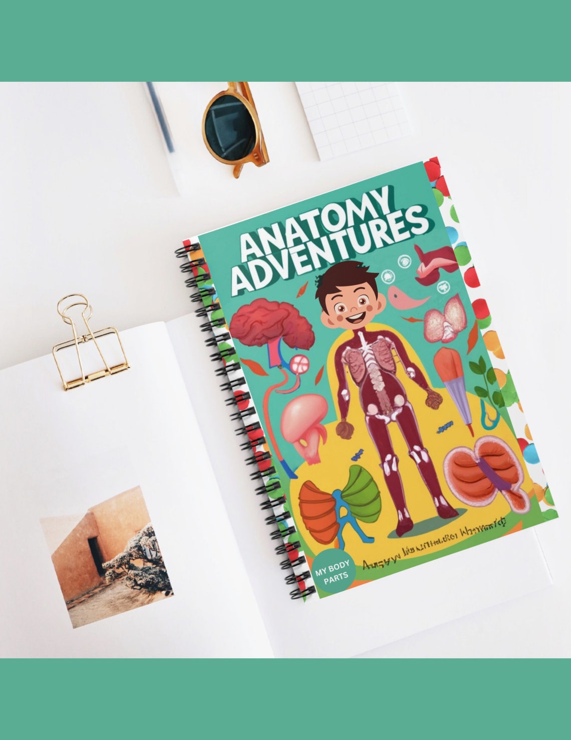 Human Anatomy Busy Book, Preschool Worksheets, Homeschool Resources - Etsy