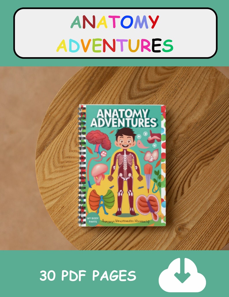 Human Anatomy Busy Book, Preschool Worksheets, Homeschool Resources - Etsy