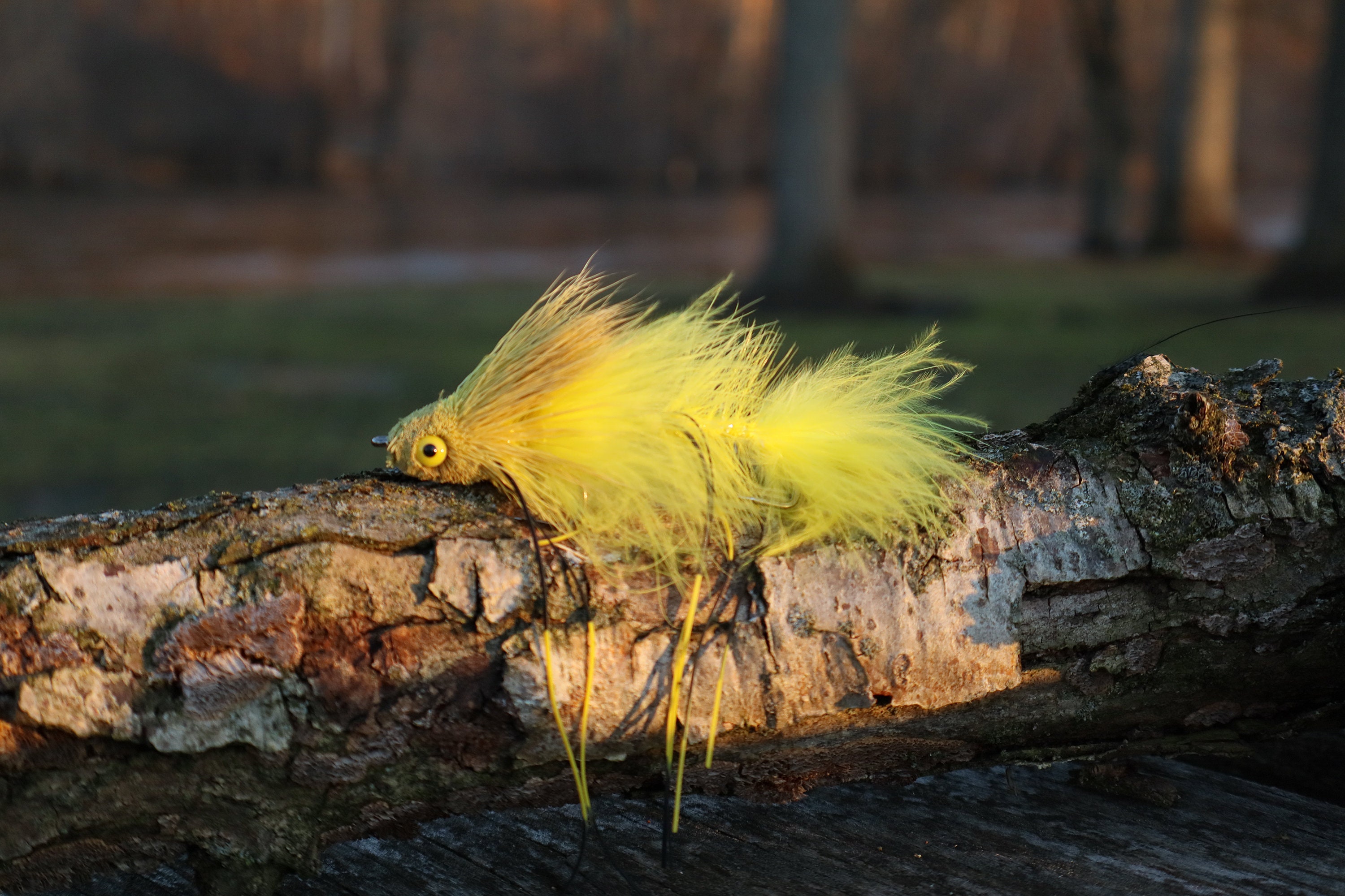Articulated Saltwater Streamer Fly for Dungeon Fishing: Brown Trout Big ...