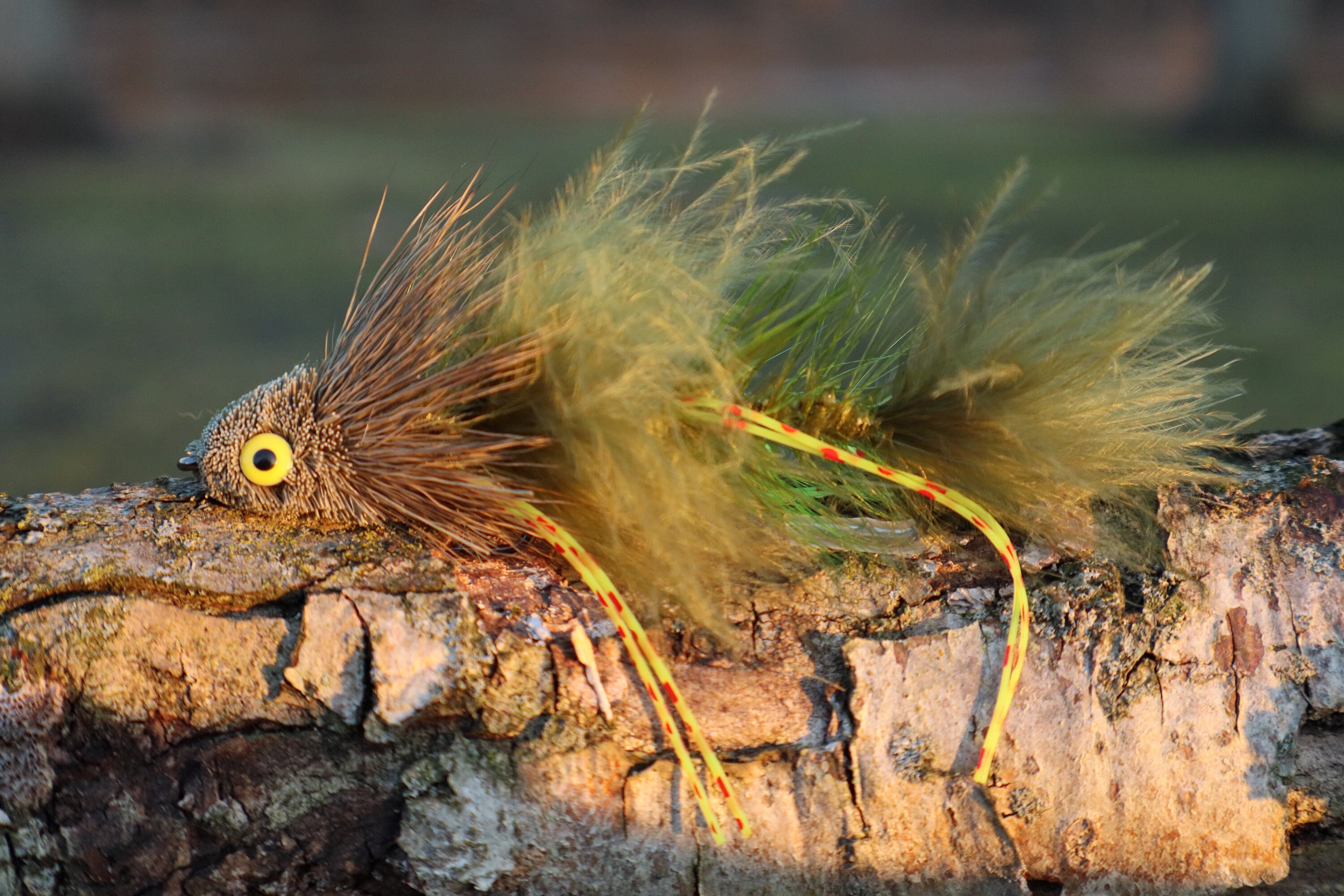 Articulated Saltwater Streamer Fly for Dungeon Fishing: Brown Trout Big ...