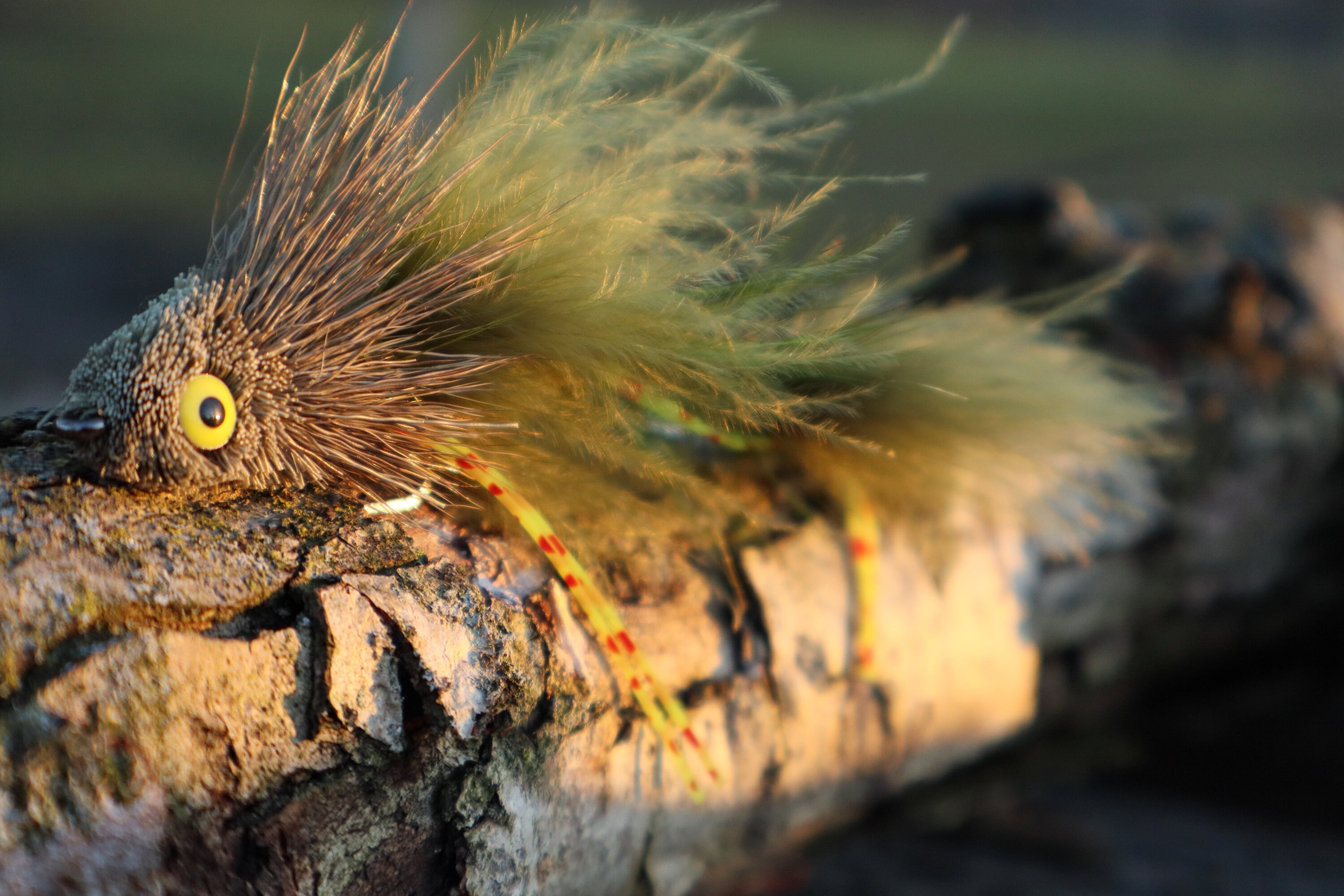 Articulated Saltwater Streamer Fly for Dungeon Fishing: Brown Trout Big ...