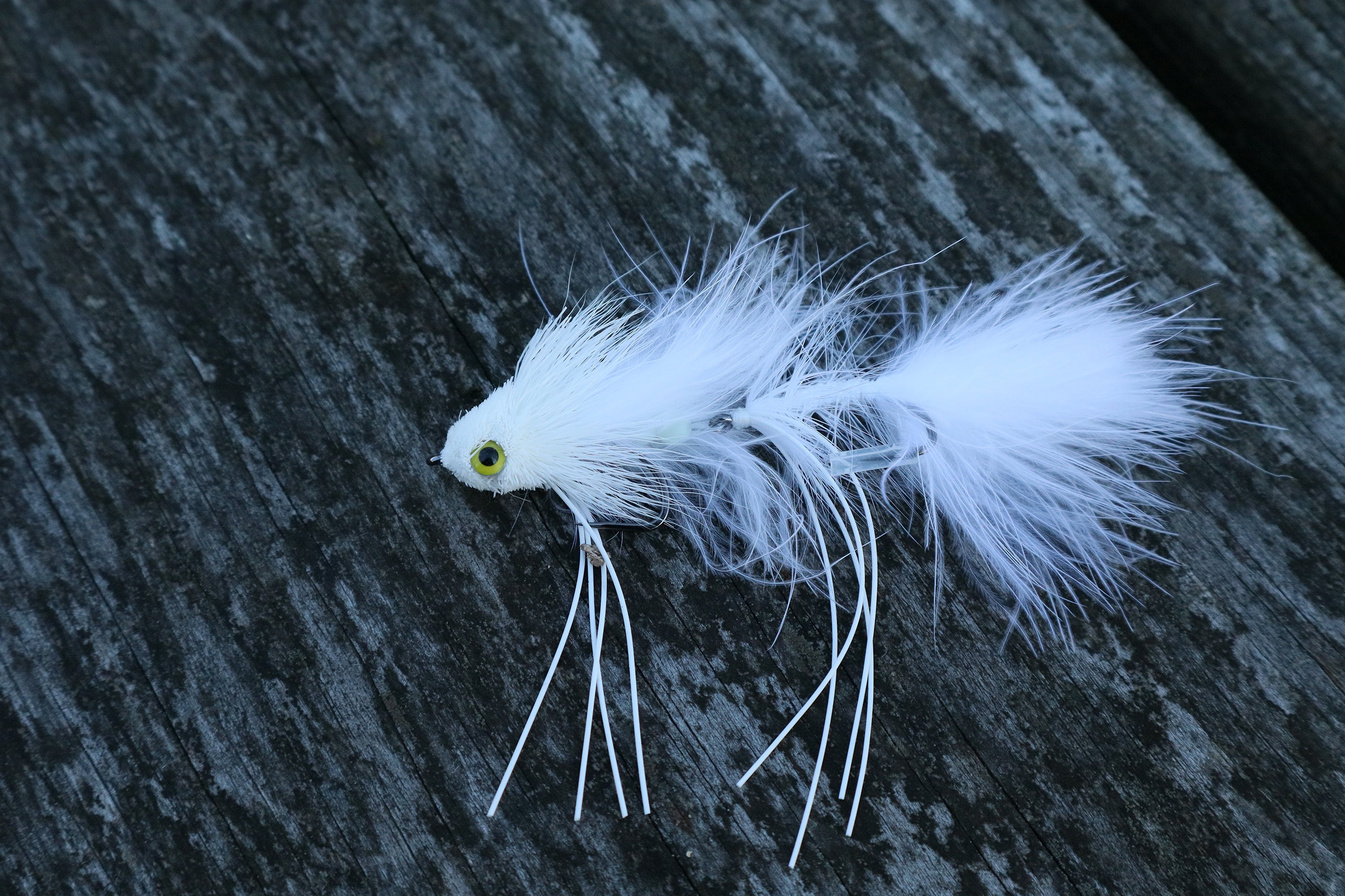 Articulated Saltwater Streamer Fly for Dungeon Fishing: Brown Trout Big ...