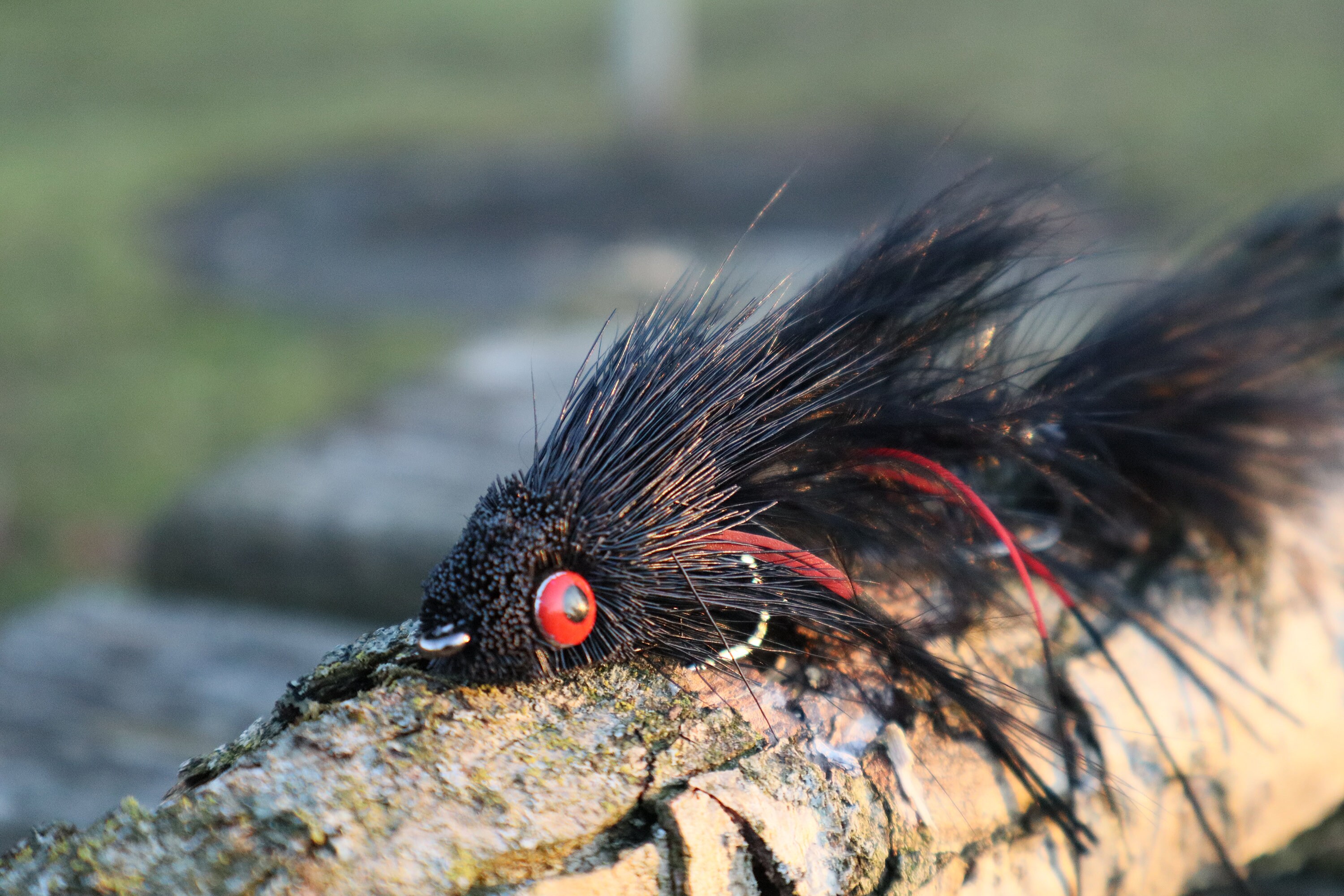 Articulated Saltwater Streamer Fly for Dungeon Fishing: Brown Trout Big ...