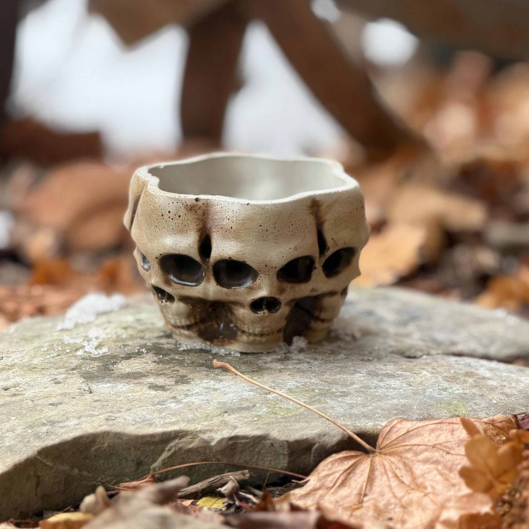 Skull Multi Face Goth Planter Pot Gift With Drip Tray - Etsy