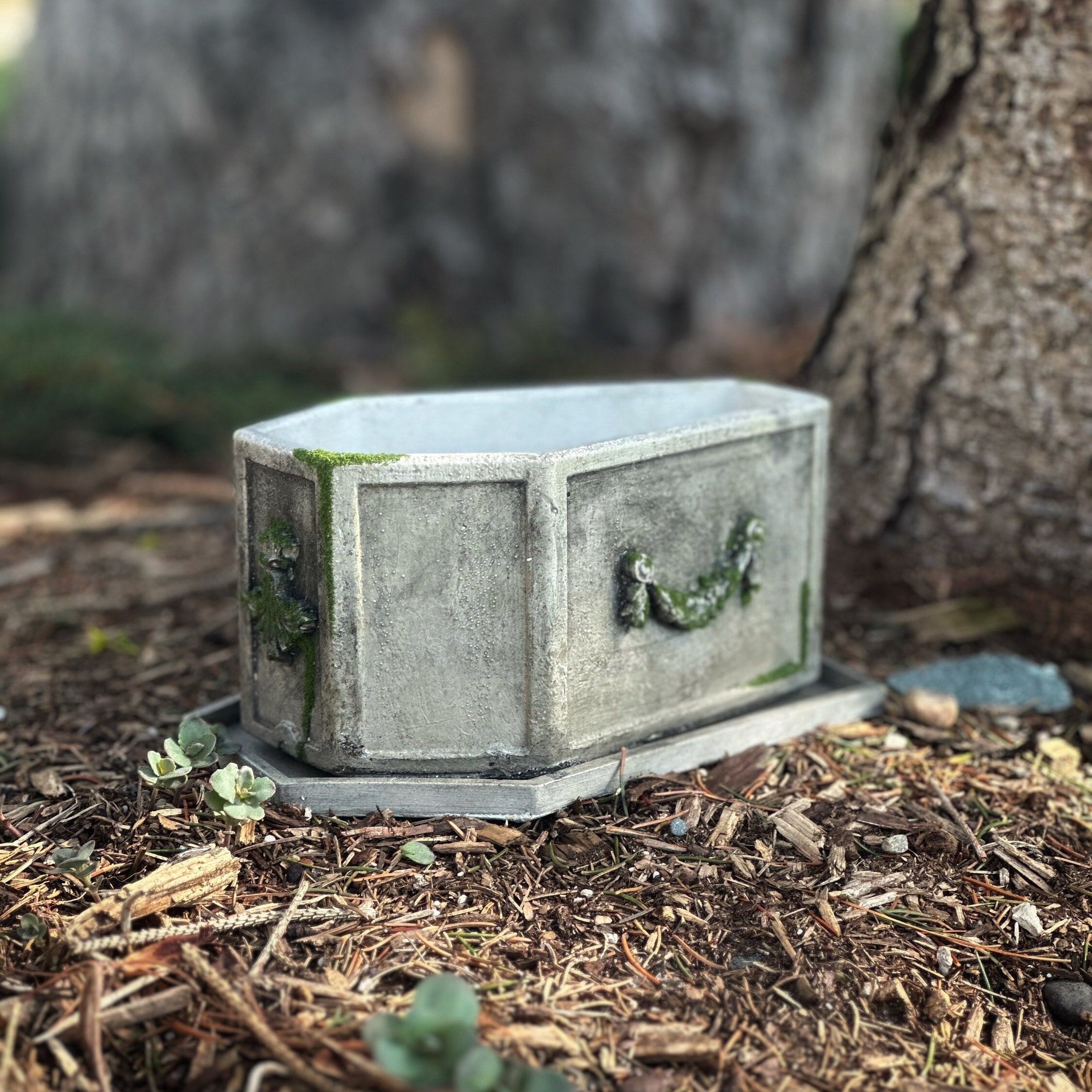Coffin Planter Pot With Drainage, Indoor or Outdoor - Etsy