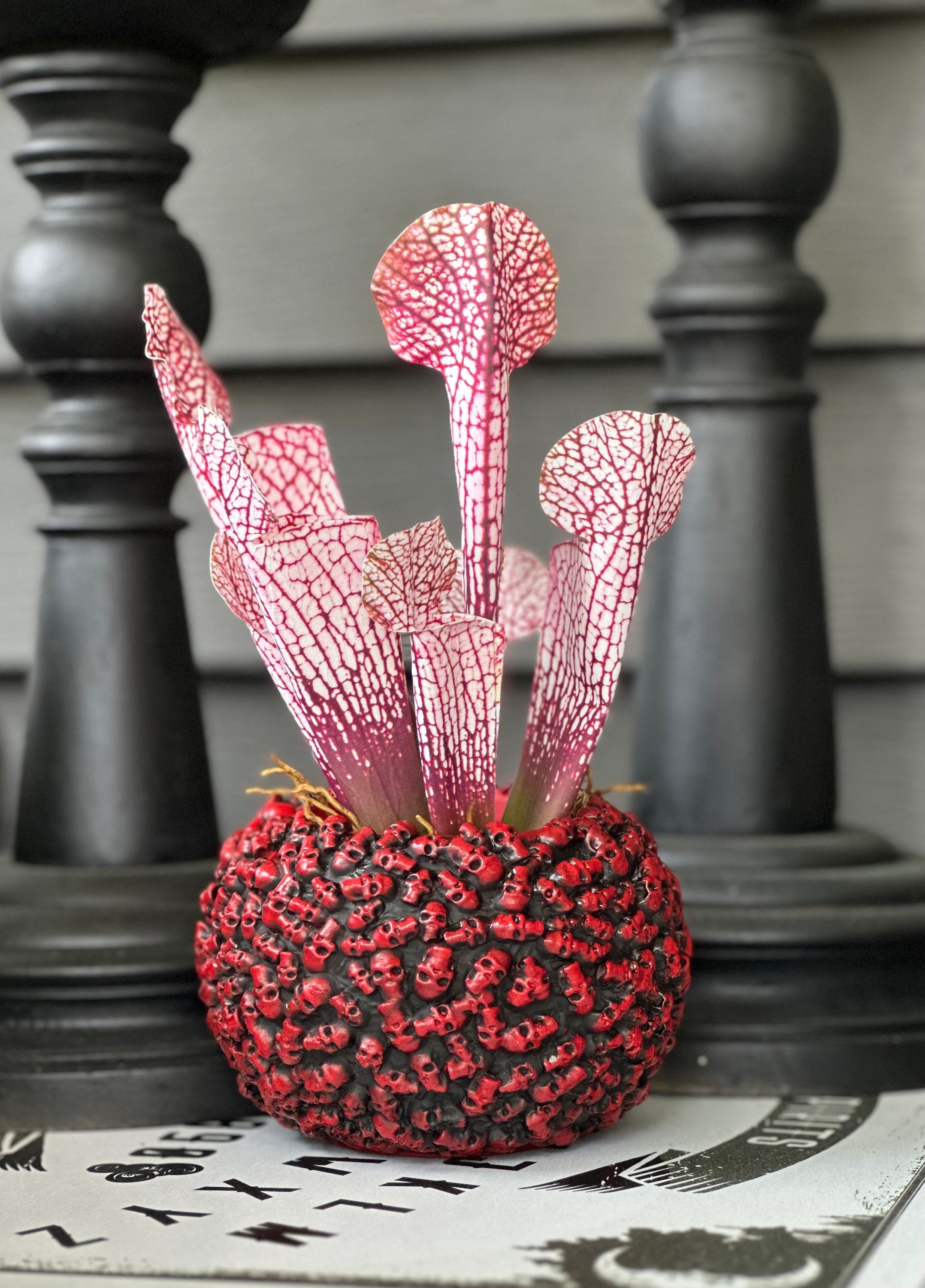 Horror Planter, Skull Planter, Goth Planters - Etsy