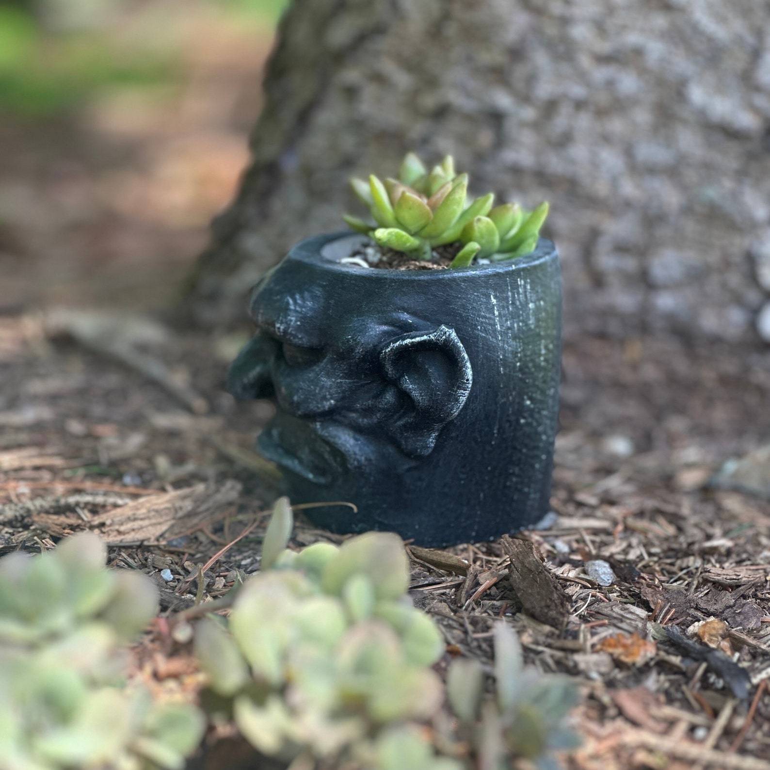 Ogre Gargoyle Vampire Halloween Planter Pots, Indoor/outdoor - Etsy