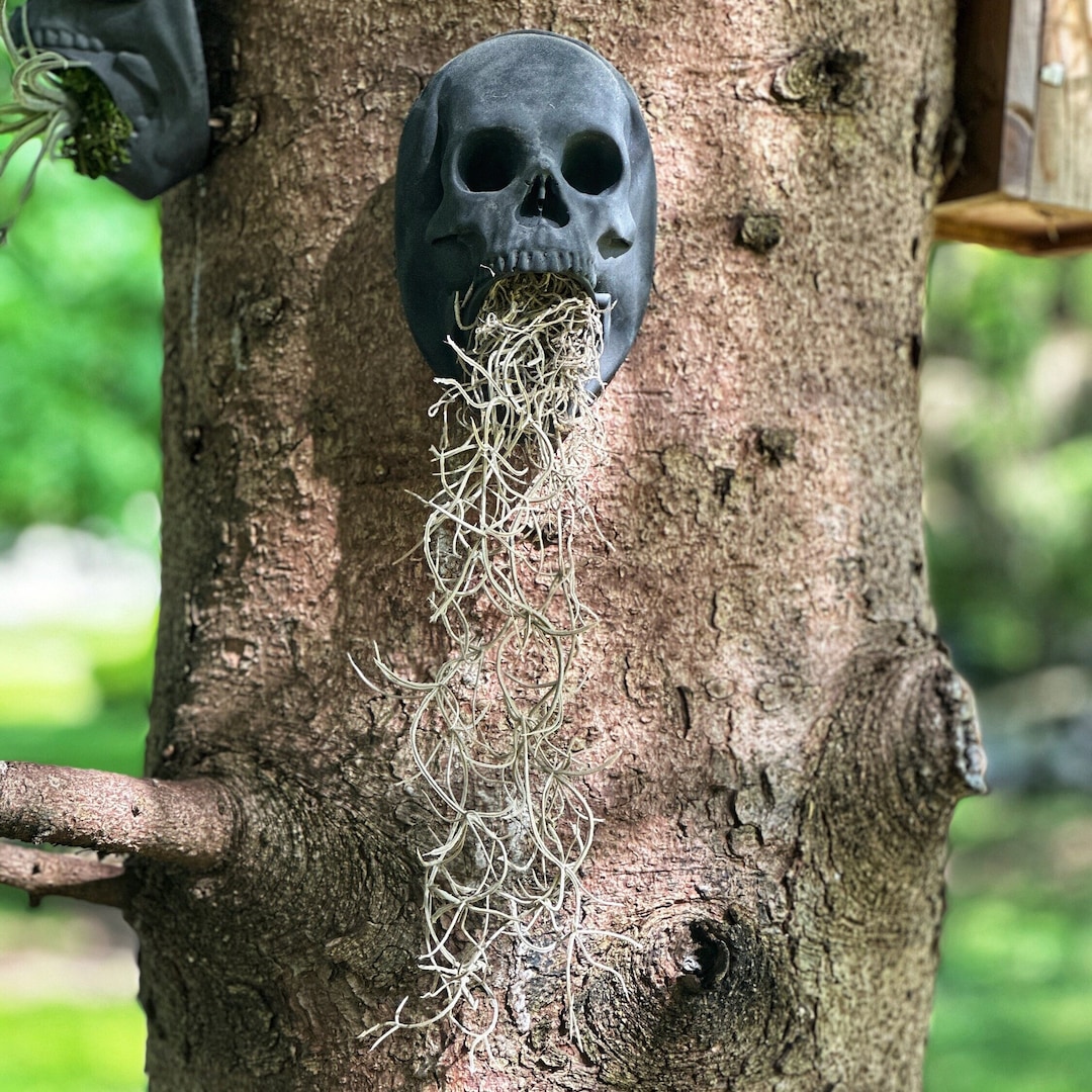 Gothic Hanging Skull Garden Wall Decor, Cement Indoor Outdoor - Etsy