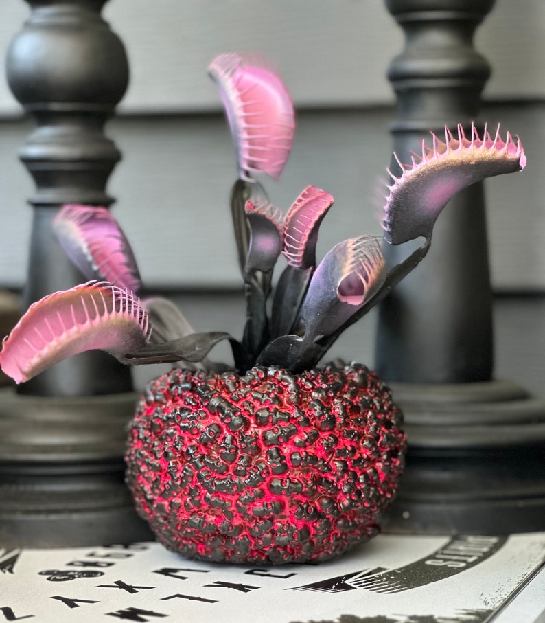 Horror Planter Skull Planter Goth Planters - Etsy