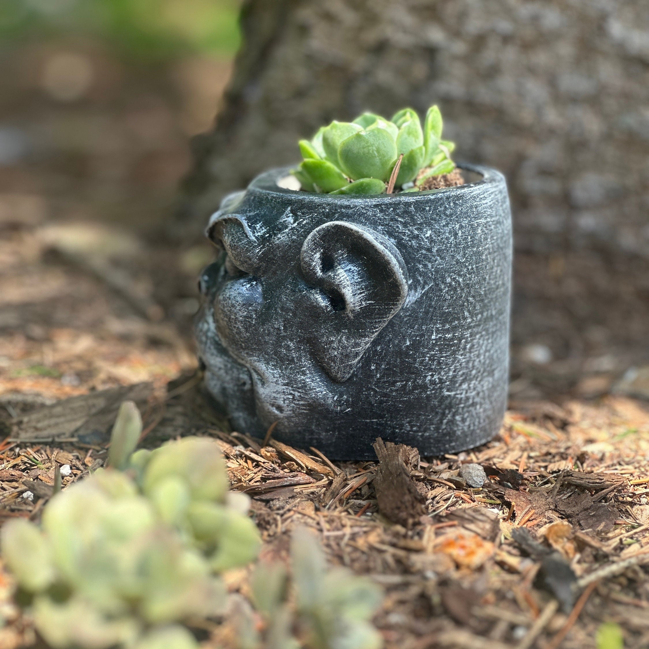 Ogre Gargoyle Vampire Halloween Planter Pots, Indoor/outdoor - Etsy