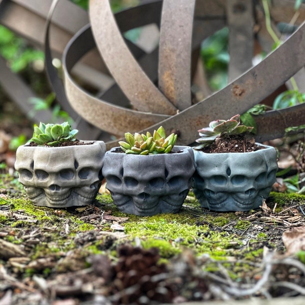 Multi Face Planter - Etsy
