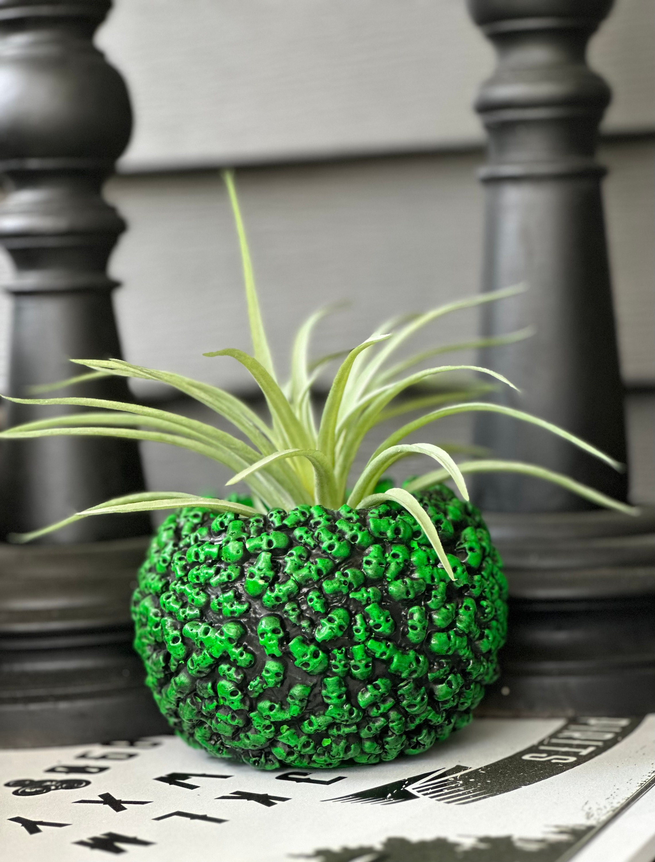 Horror Planter, Skull Planter, Goth Planters - Etsy