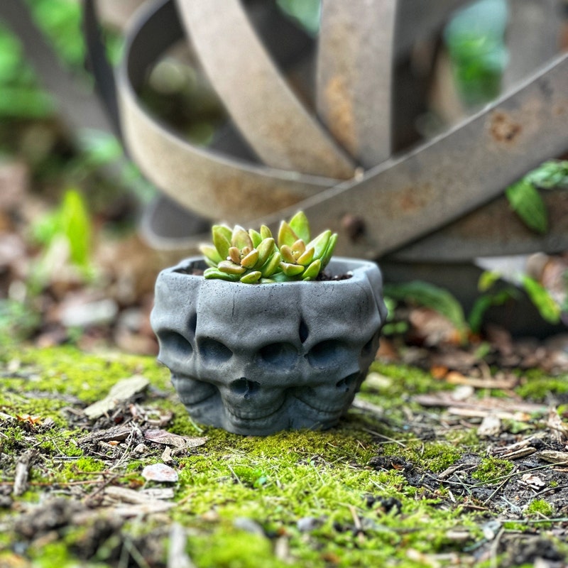 Multi Face Planter - Etsy