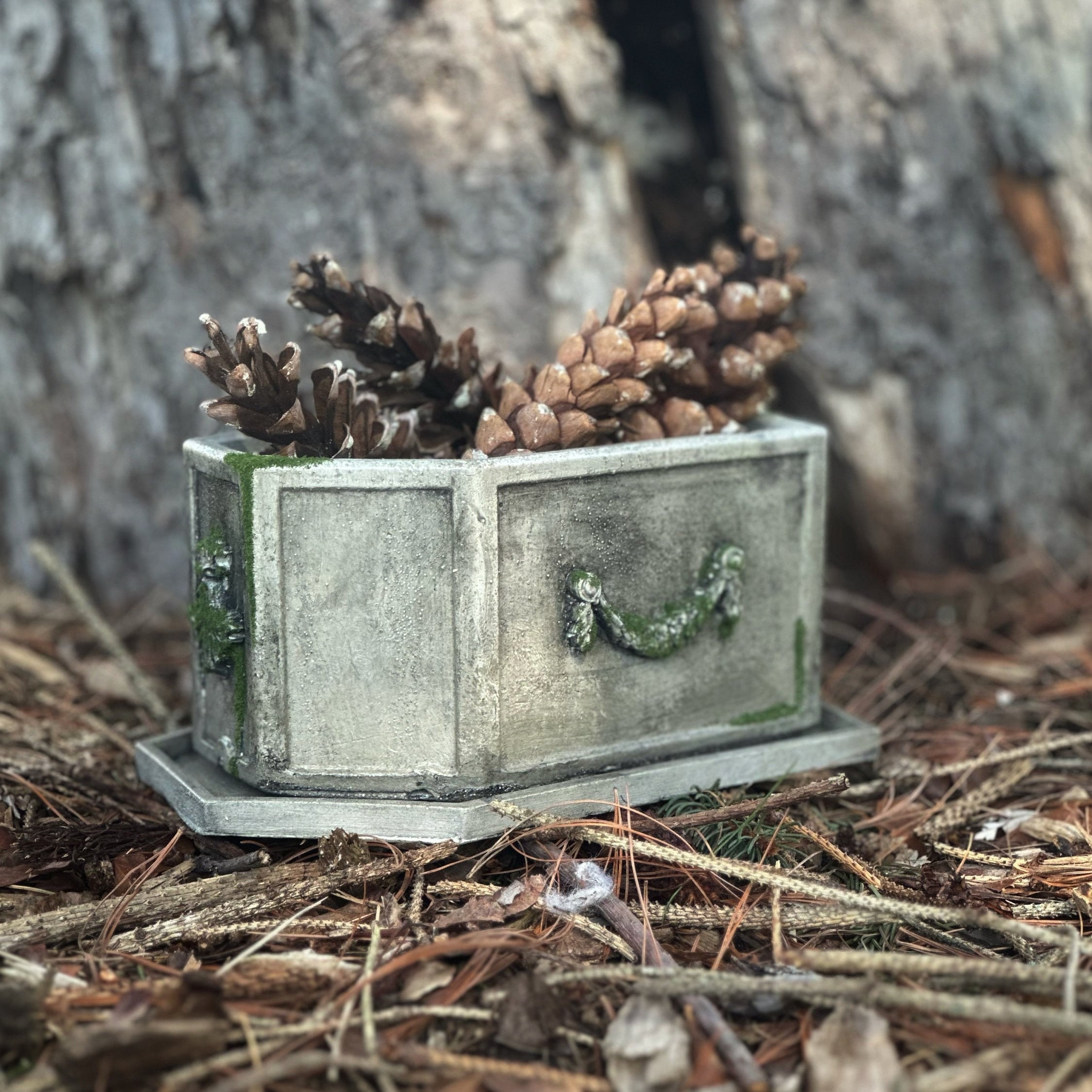 Coffin Planter Pot With Drainage, Indoor or Outdoor - Etsy