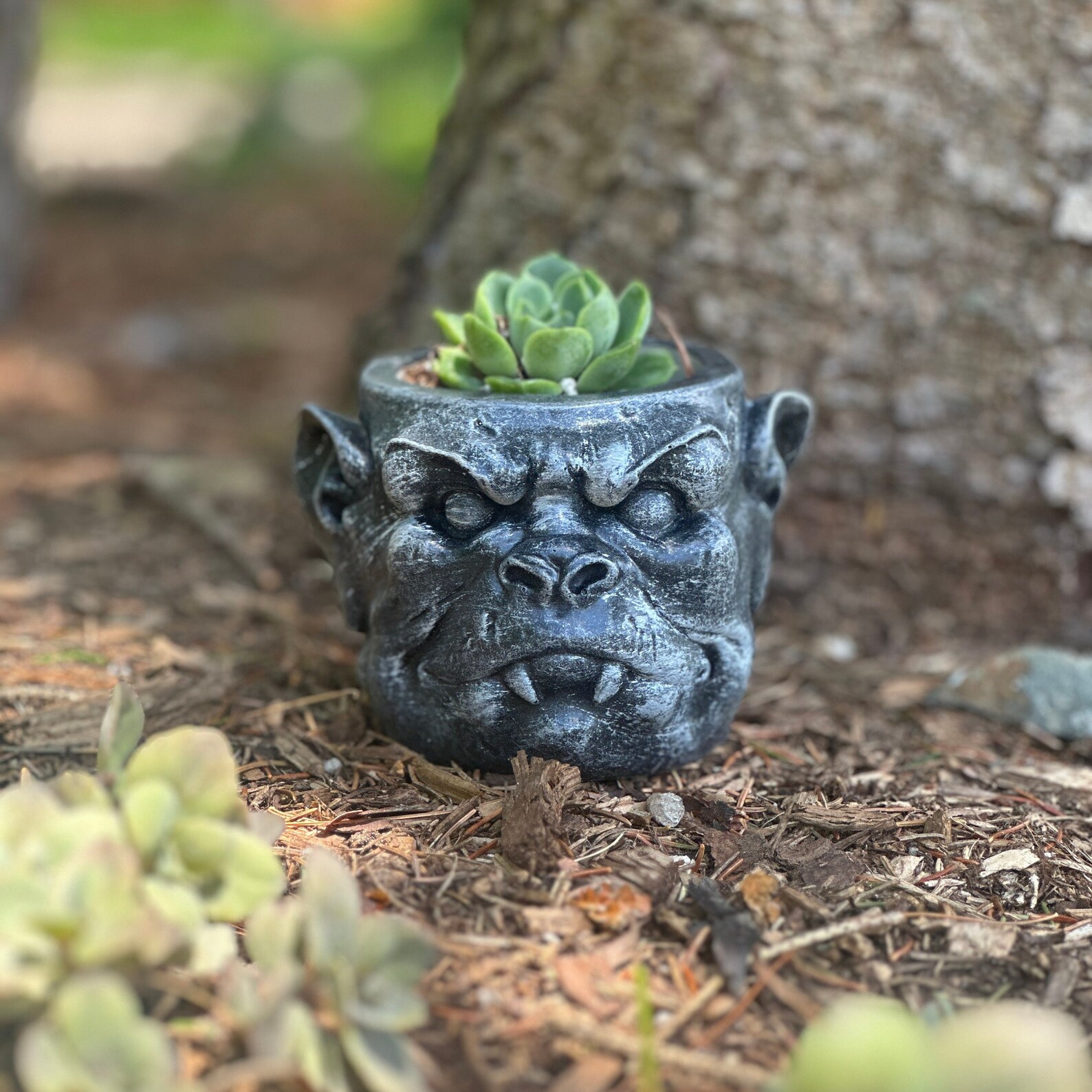 Ogre Gargoyle Vampire Halloween Planter Pots, Indoor/outdoor - Etsy