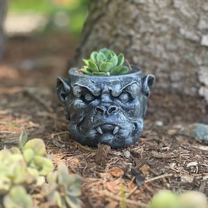 Ogre Gargoyle Vampire Halloween Planter Pots, Indoor/outdoor - Etsy