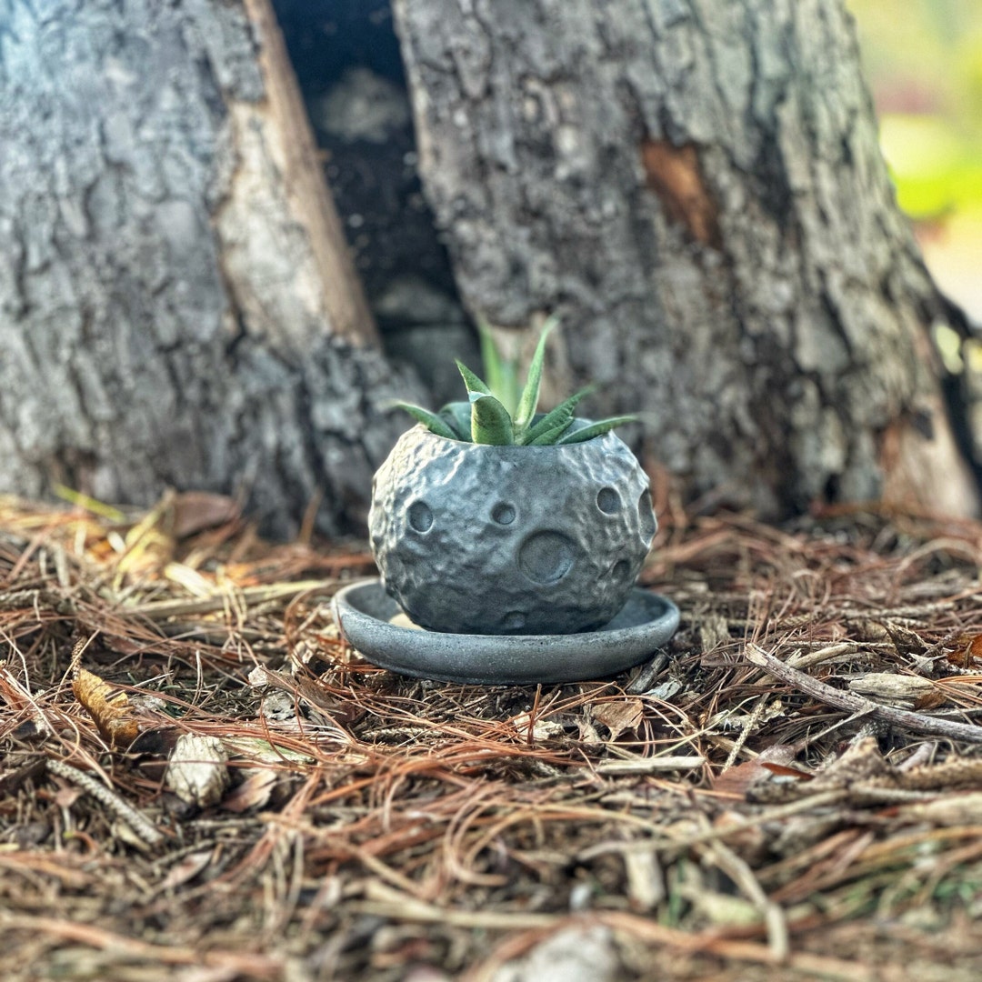 Moon Planter Pot With Drip Tray, Small Indoor Outdoor - Etsy
