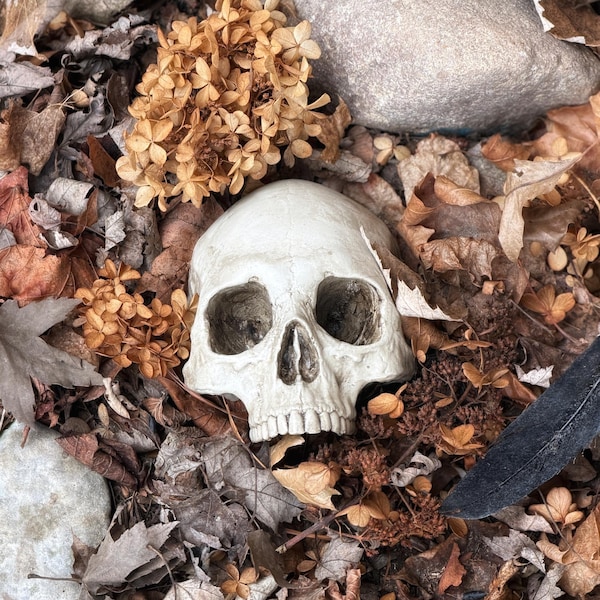 Garden Skull - Etsy