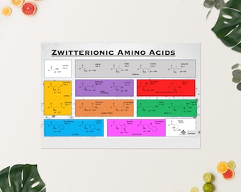 Essential Amino Acids Poster Nutritional Biochemistry: Nine - Etsy