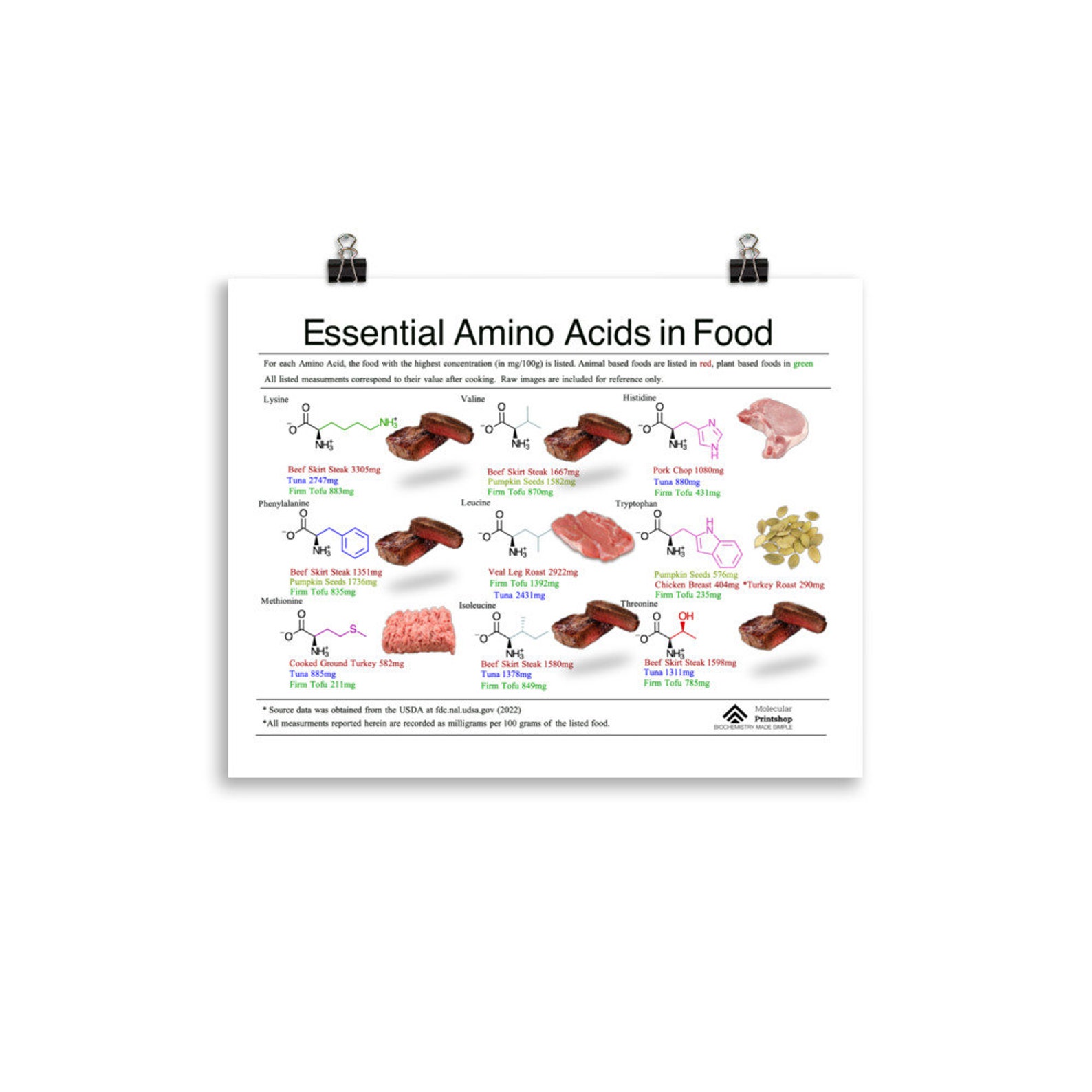 Essential Amino Acids Poster, Nutritional Biochemistry: Nine Essential ...