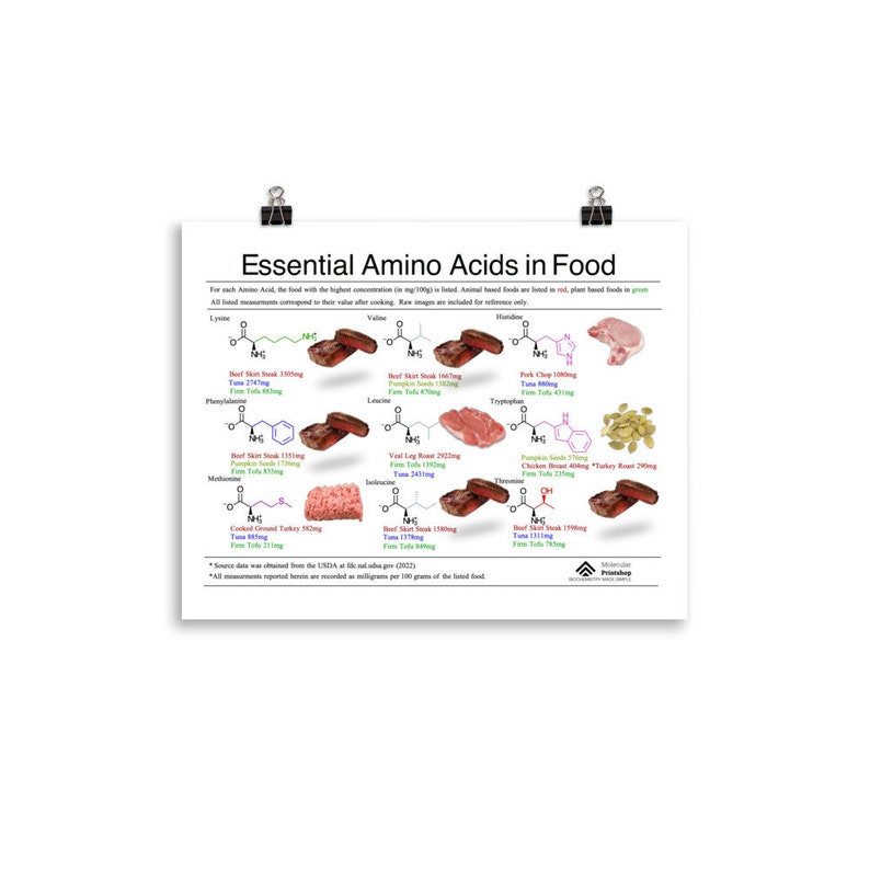 Essential Amino Acids Poster, Nutritional Biochemistry: Nine Essential ...
