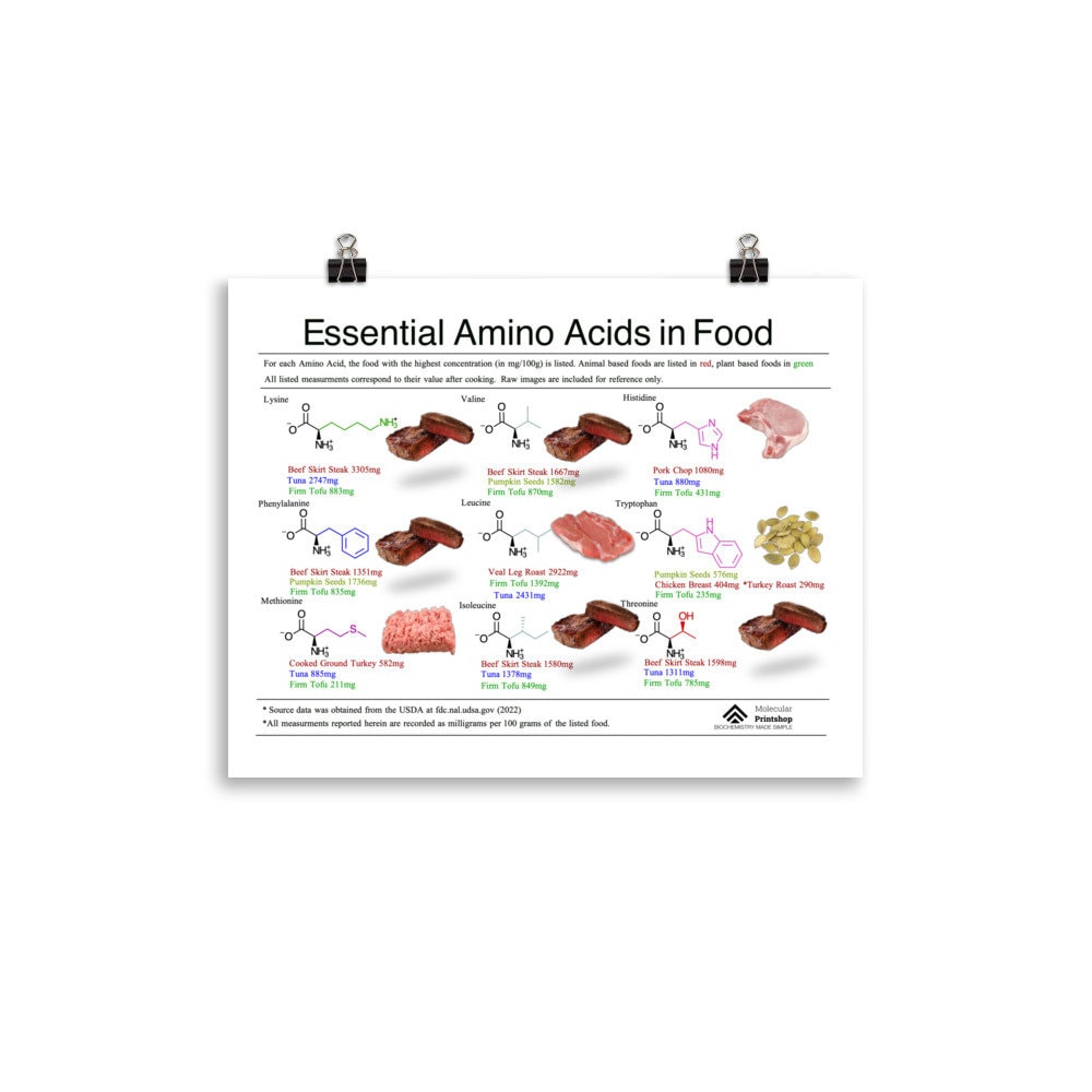Essential Amino Acids Poster, Nutritional Biochemistry: Nine Essential ...