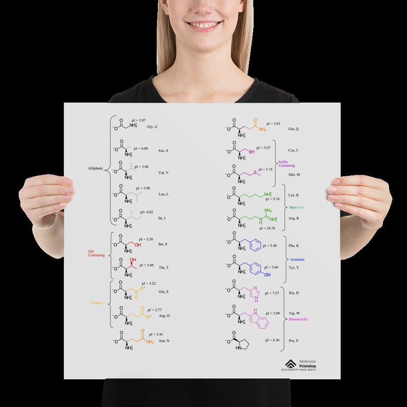 Zwitterionic Twenty (20) Amino Acids Square Poster : College ...