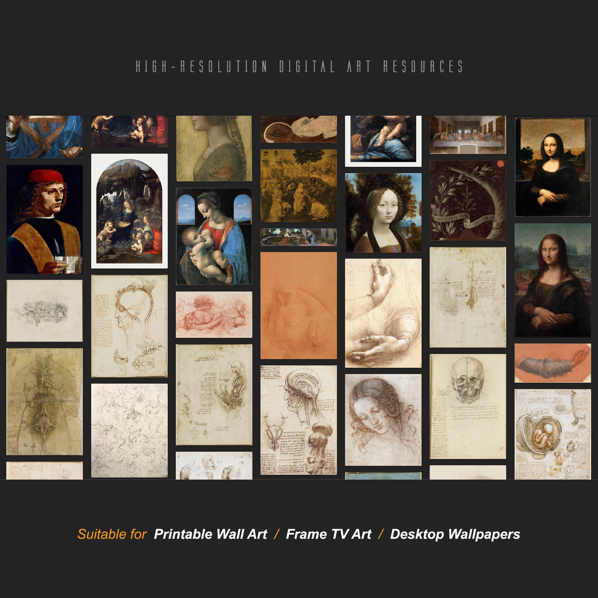 210+ Leonardo Da Vinci Famous Paintings Collection | High-resolution ...