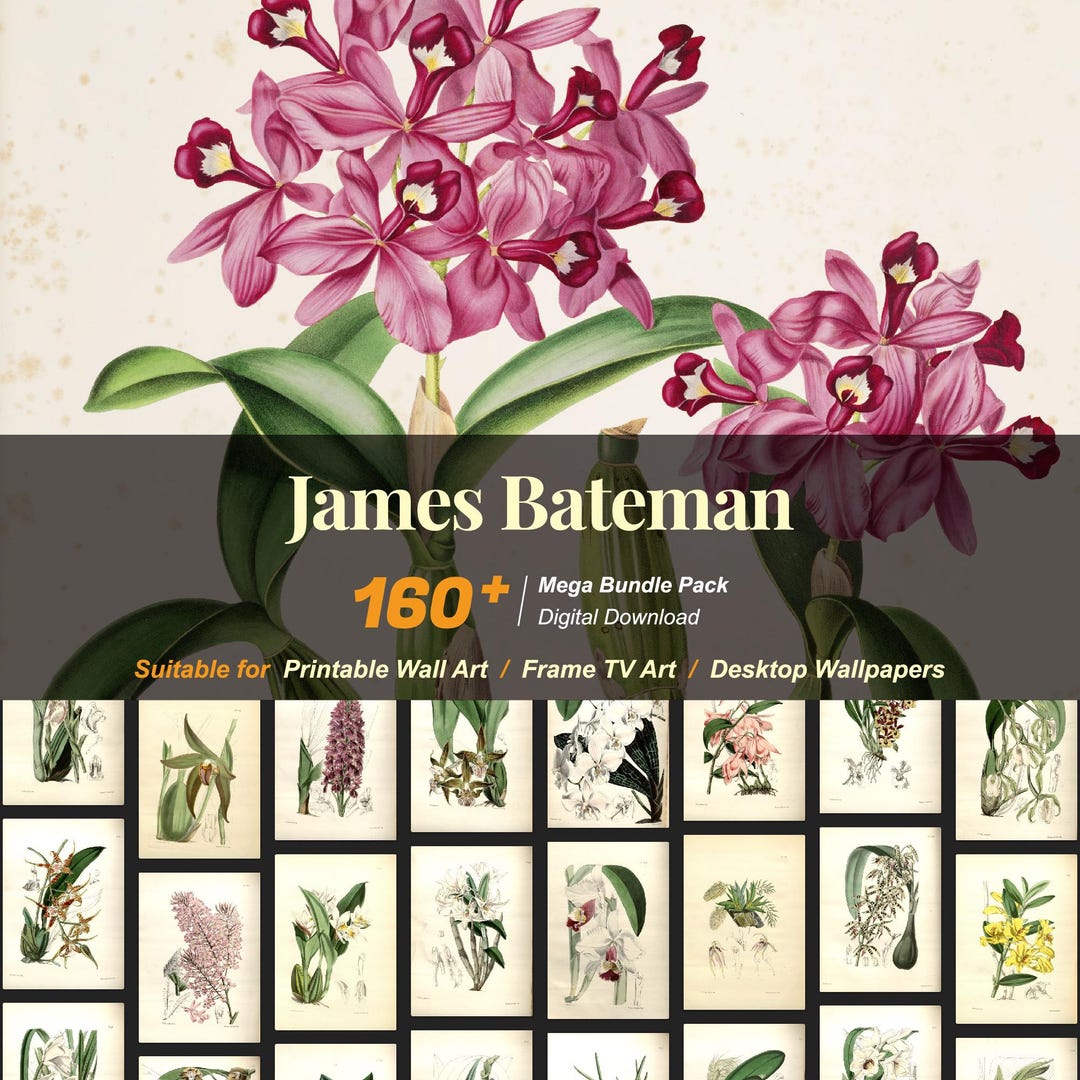 160+ James Bateman Famous Paintings Collection | High-resolution ...