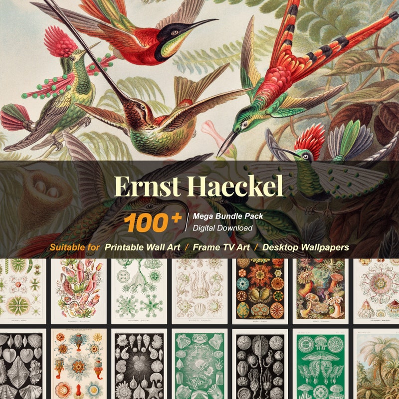 Ernst Haeckel - Etsy