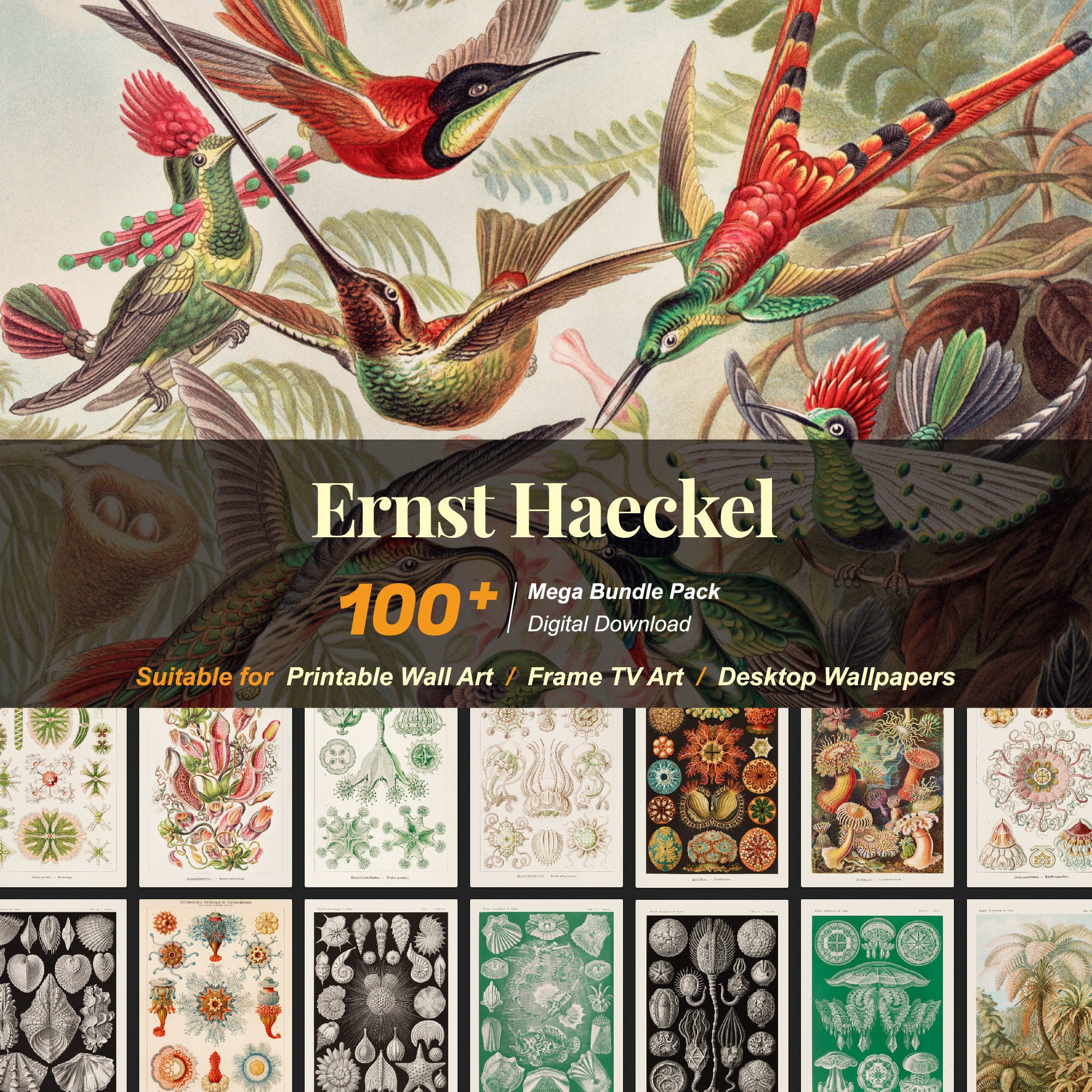 100 Ernst Haeckel Famous Paintings Collection High-resolution Digital ...