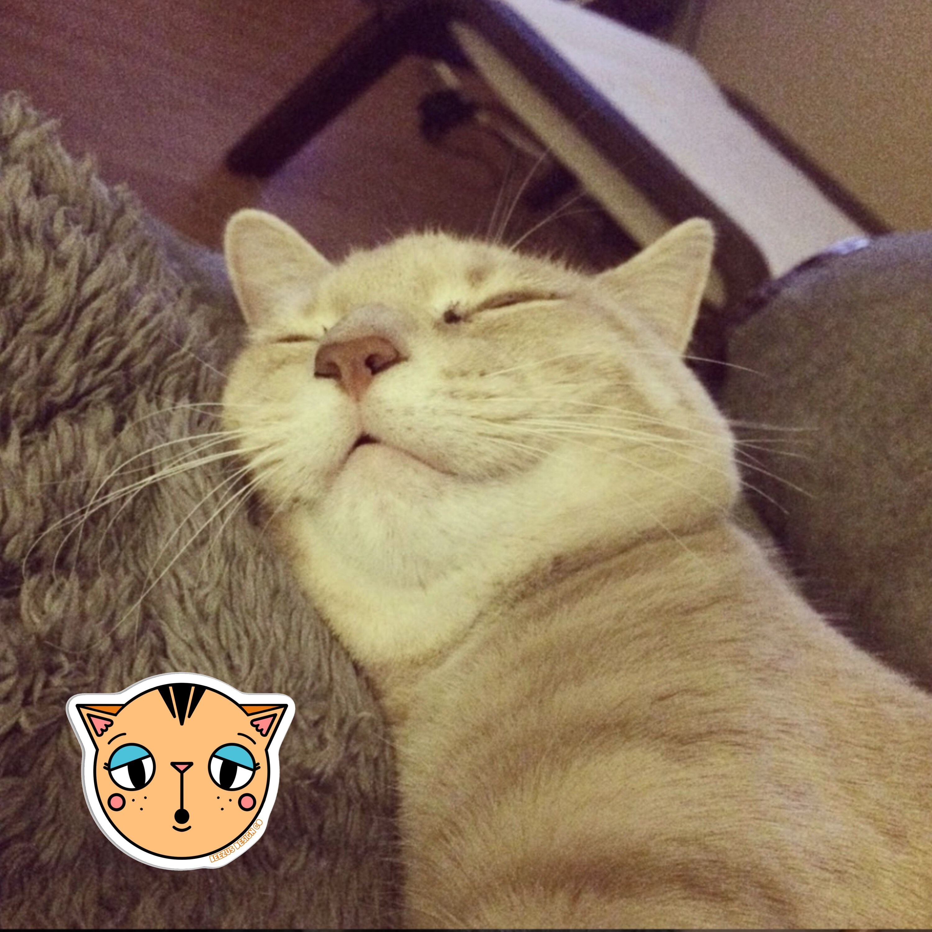 Ditzy Orange Tabby Cat Premium Waterproof Vinyl Die-cut Cat Sticker - Etsy