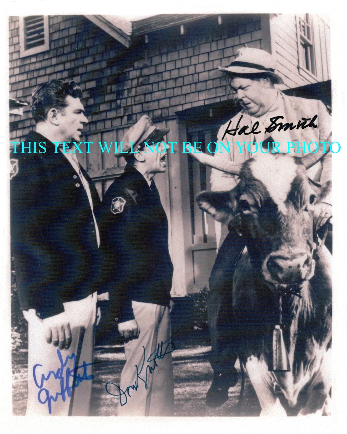 The ANDY GRIFFITH Show Cast Don Knotts Andy Griffith and Hal Smith ...
