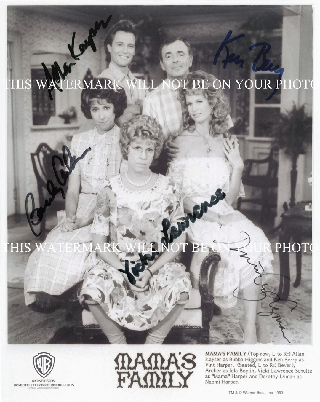 MAMA'S FAMILY Cast Vicki Lawrence Ken Berry Allan Kayser Dorothy Lyman ...