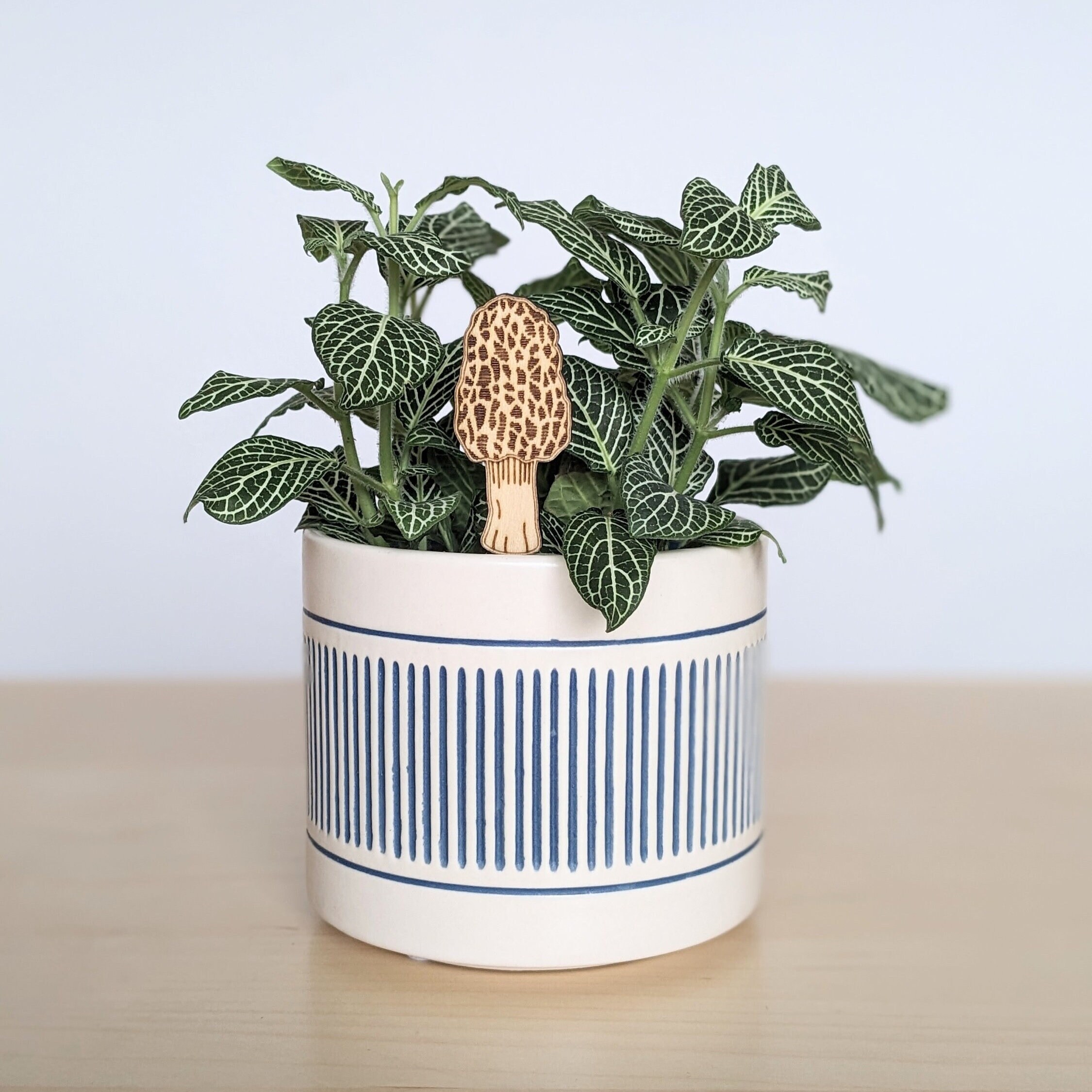 Cute Morel Mushroom Plant Pal Houseplant Accessory Decoration Gift for ...