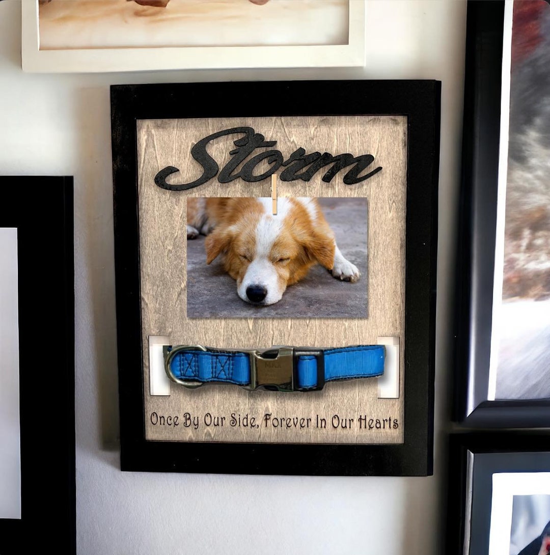 Custom Pet Memorial Sign With Collar Holder - Etsy