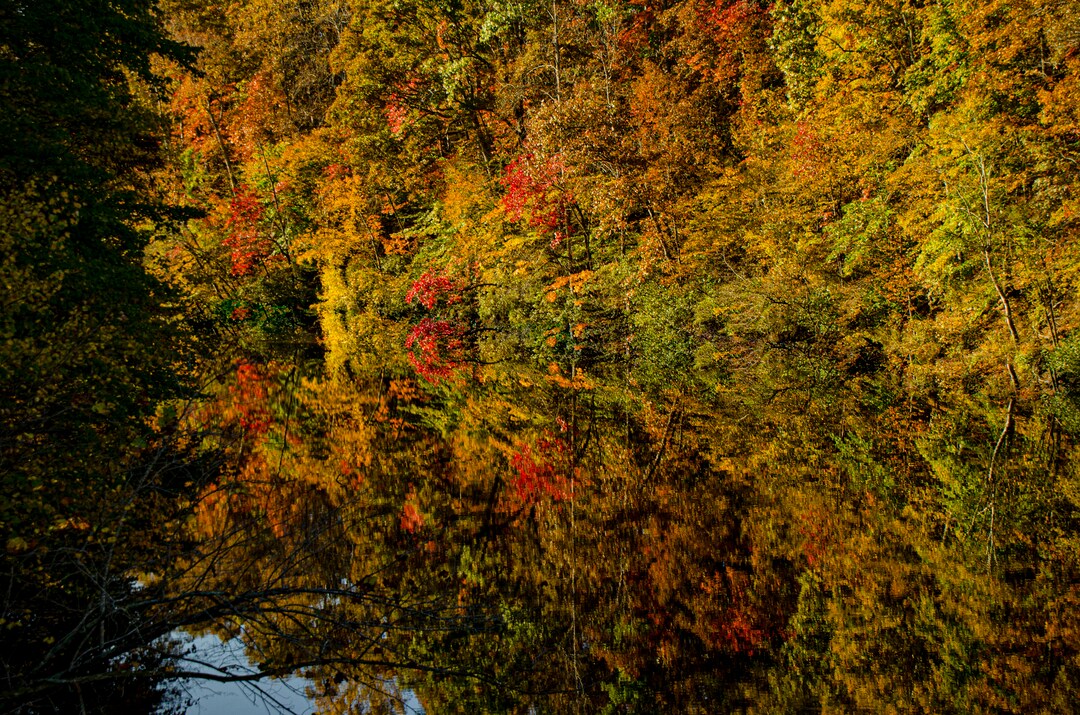 Vibrant Fall Foliage River Reflection - Etsy
