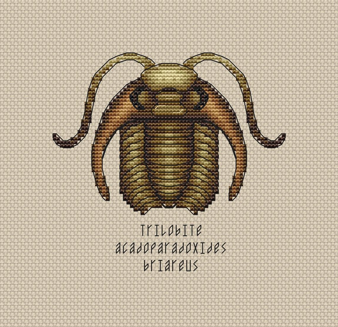Trilobite Fossil Cross Stitch Pattern Modern, Paleontology Cross Stitch ...